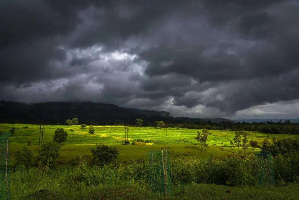 India's Monsoon Forecast Is Out: What It Means For Farmers, Food Prices ...